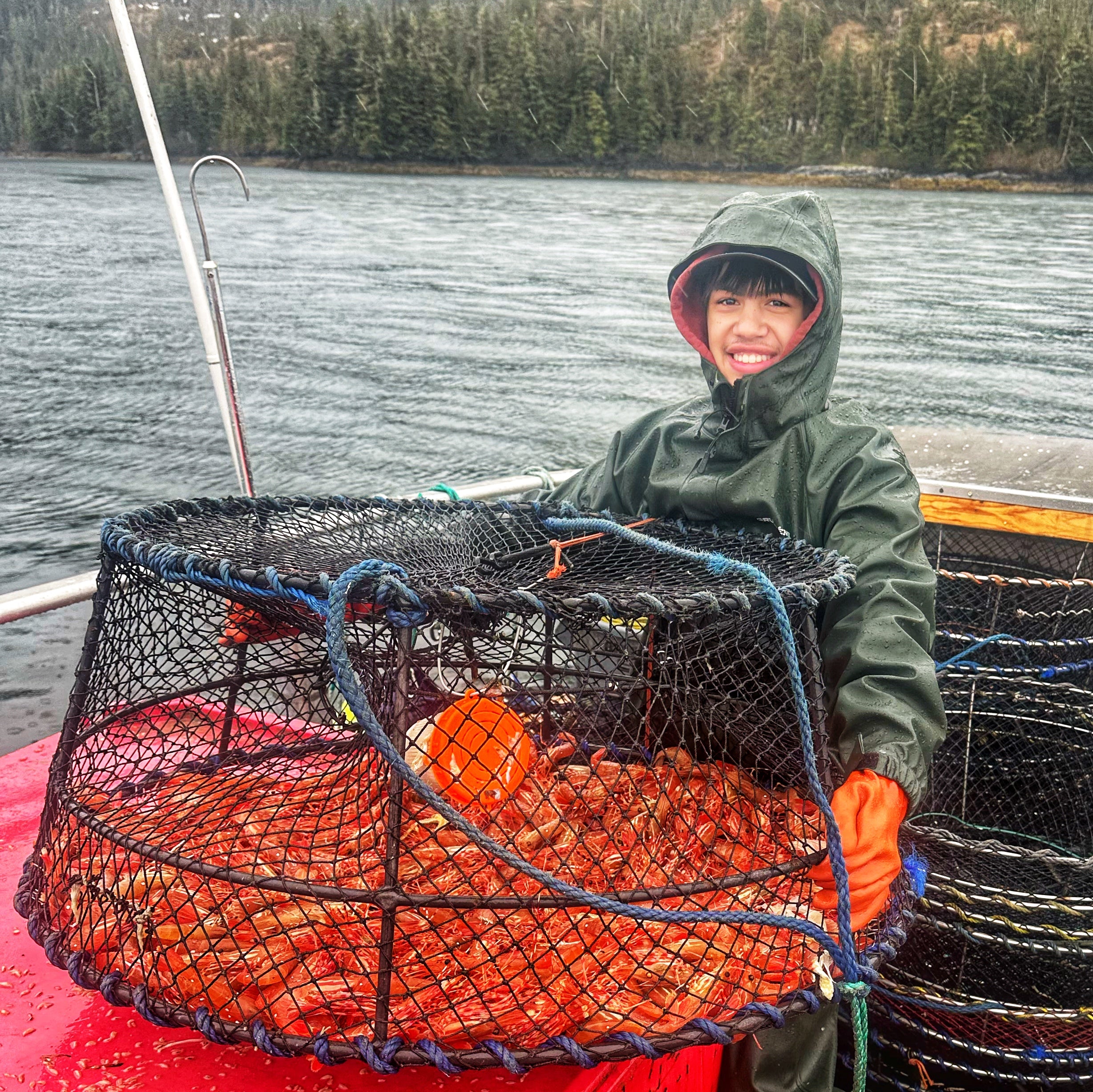 Alaskan Spot Shrimp - Tanner's Alaskan Seafood