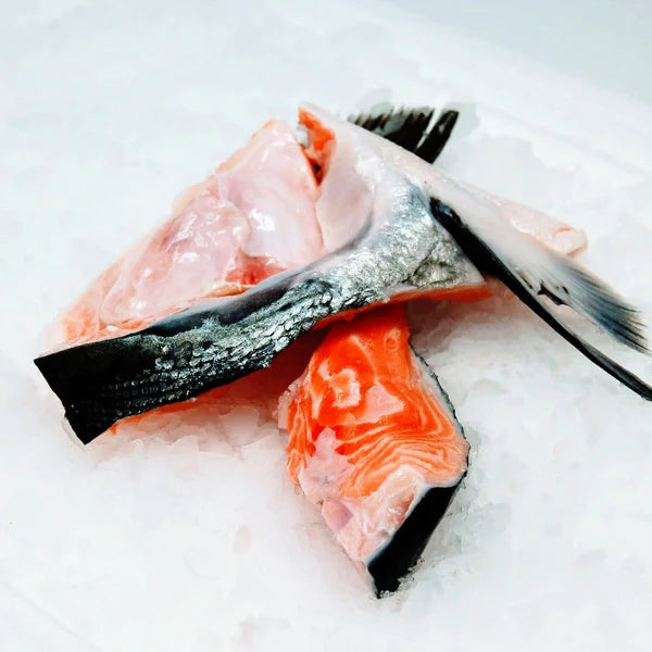 Fresh King Salmon Collars - Tanner's Alaskan Seafood
